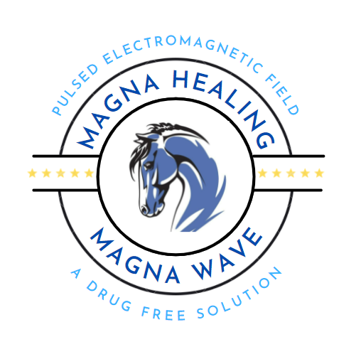 Magna Healing