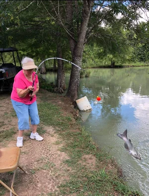 Tina's Catfish Pond