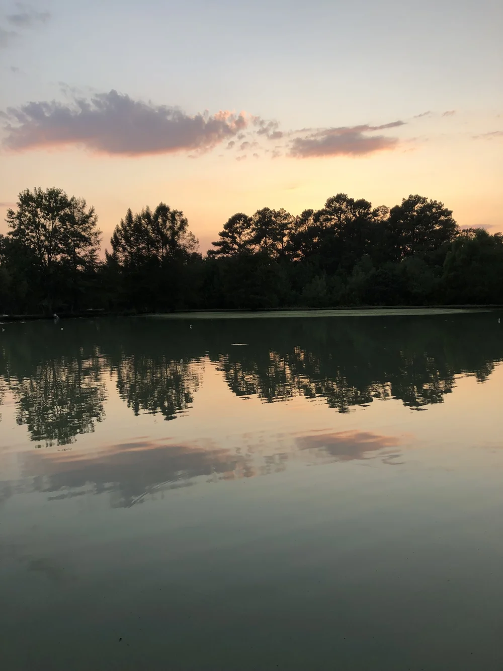 Tina's Catfish Pond