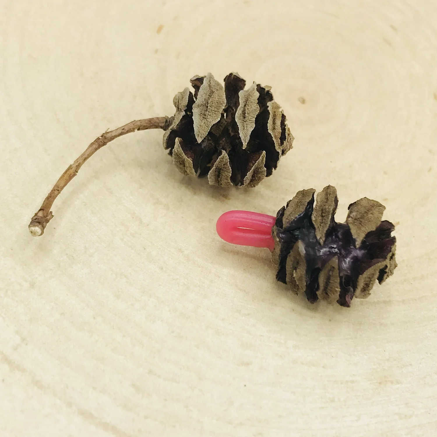 Making Plant Jewelry from Succulents, Branches, & Other Botanical Bits ...