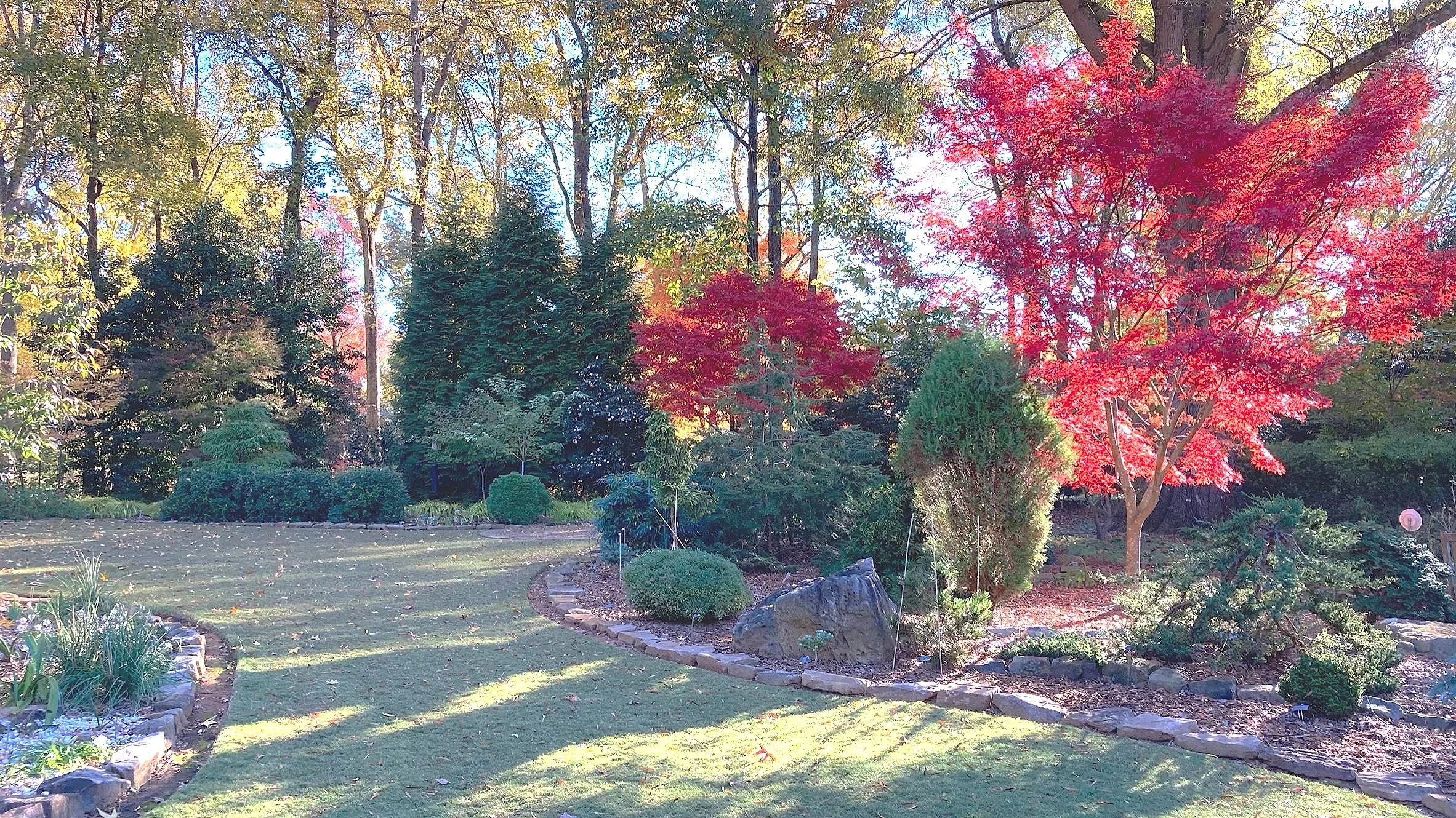 Garden History — MapleWalk Garden