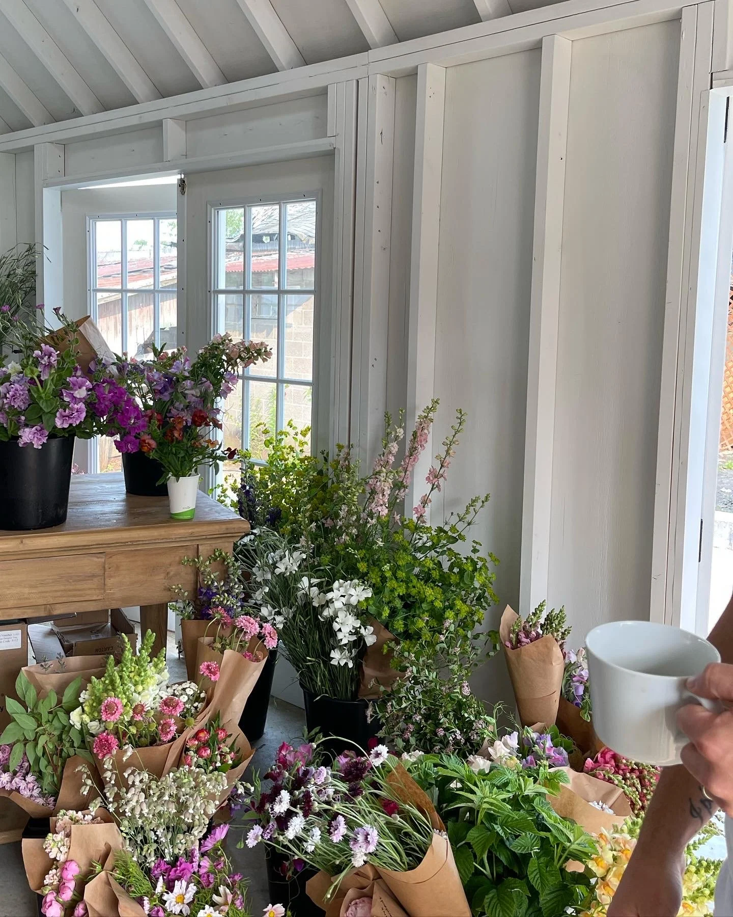 Wedding Design Florists Wholesale — Jersey Cut Flower Market
