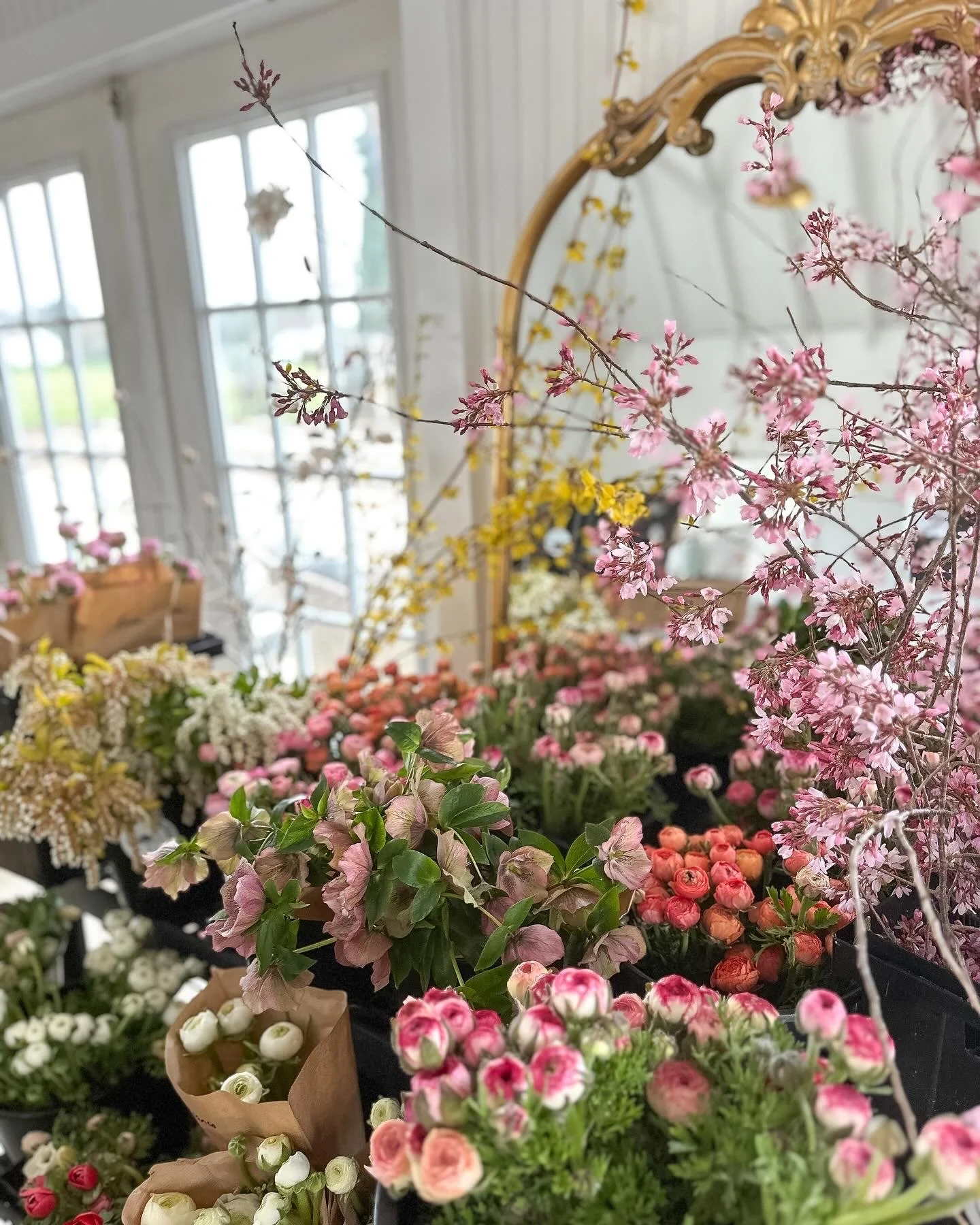 Wedding Design Florists Wholesale — Jersey Cut Flower Market