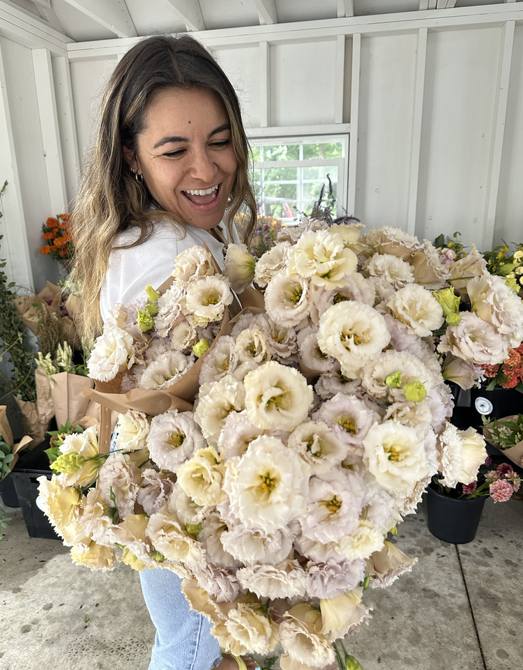 Wedding Design Florists Wholesale — Jersey Cut Flower Market