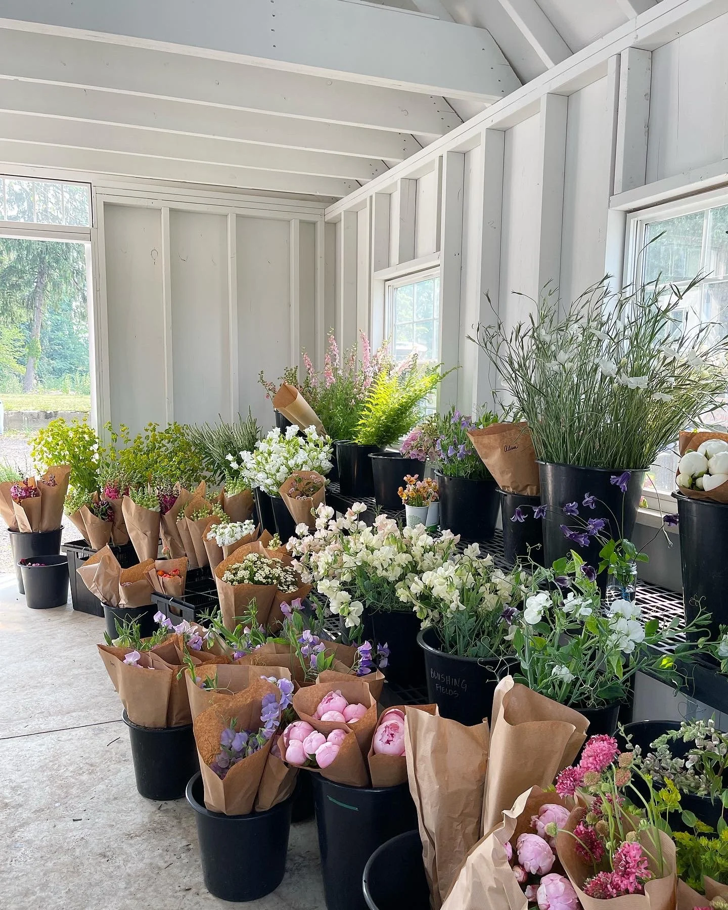 Wedding Design Florists Wholesale — Jersey Cut Flower Market