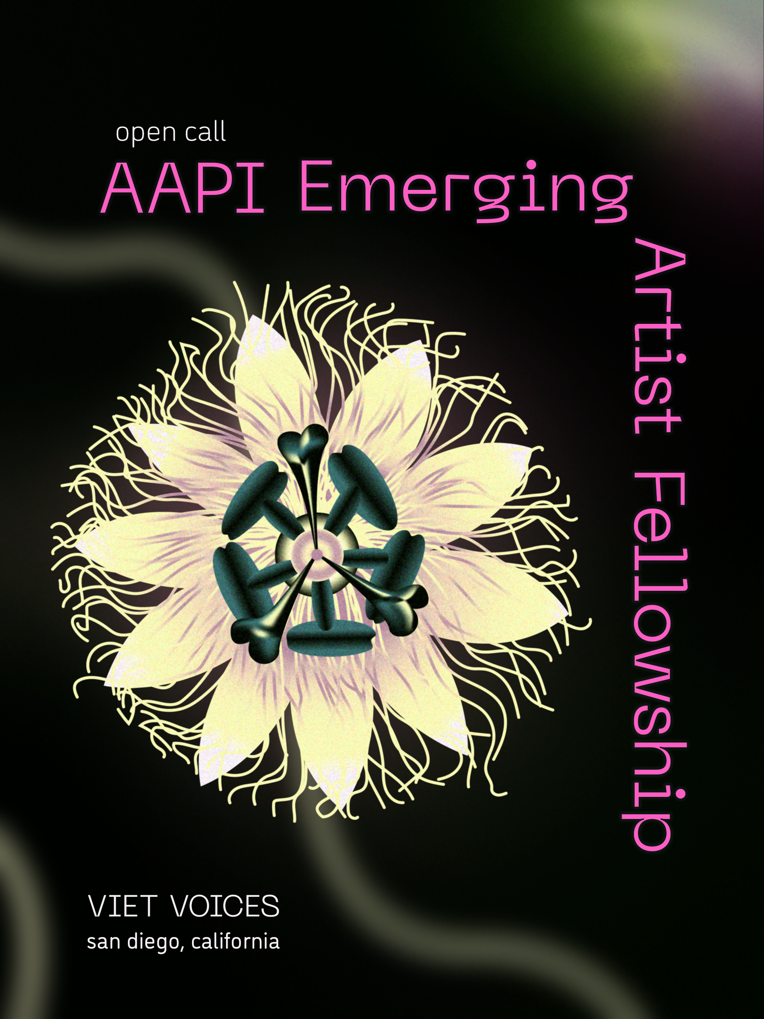 Viet Voices Announces Open Call for San Diego’s First AAPI Emerging ...