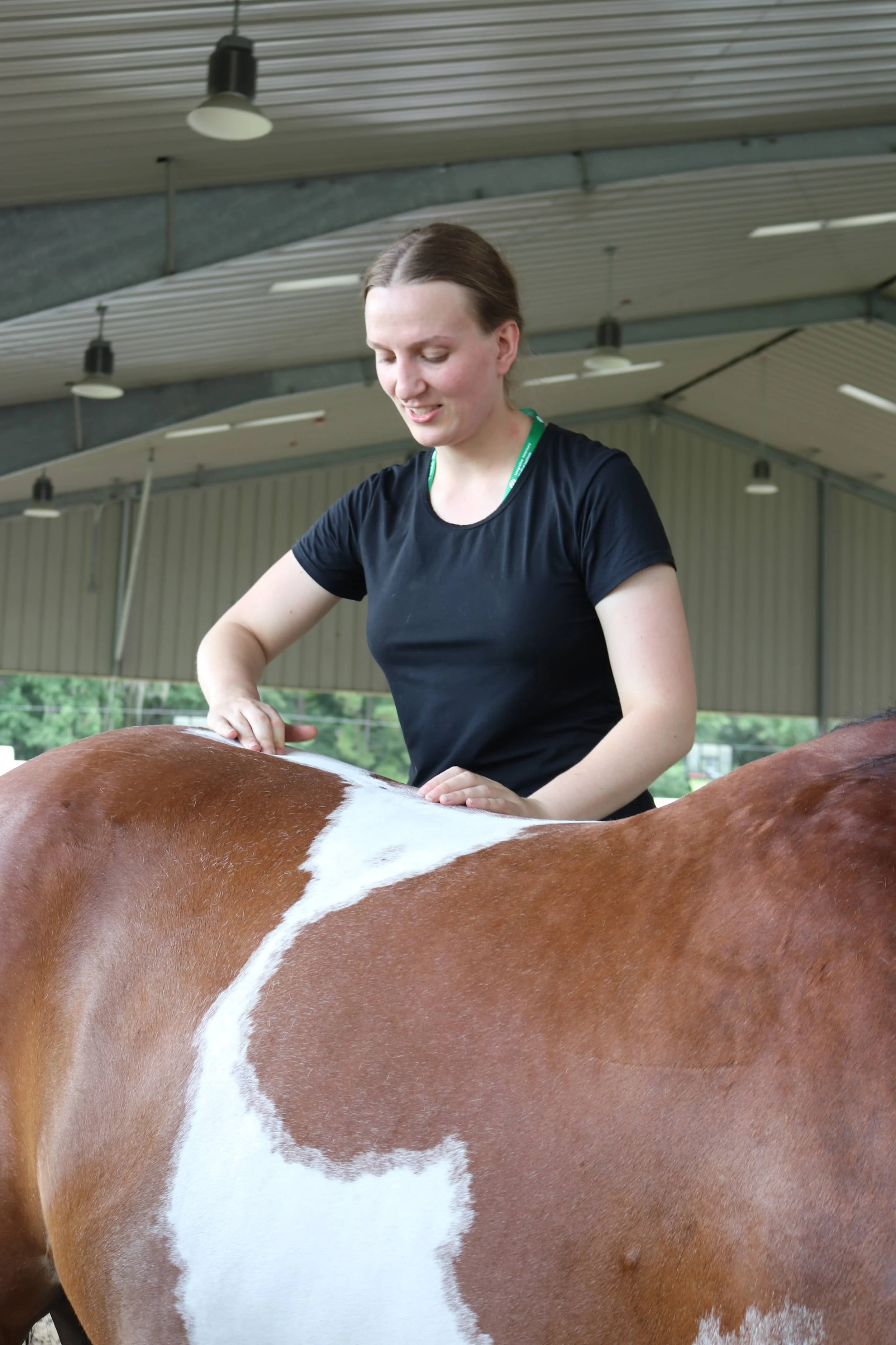 About 1 — Wisewood Integrative Veterinary Medicine