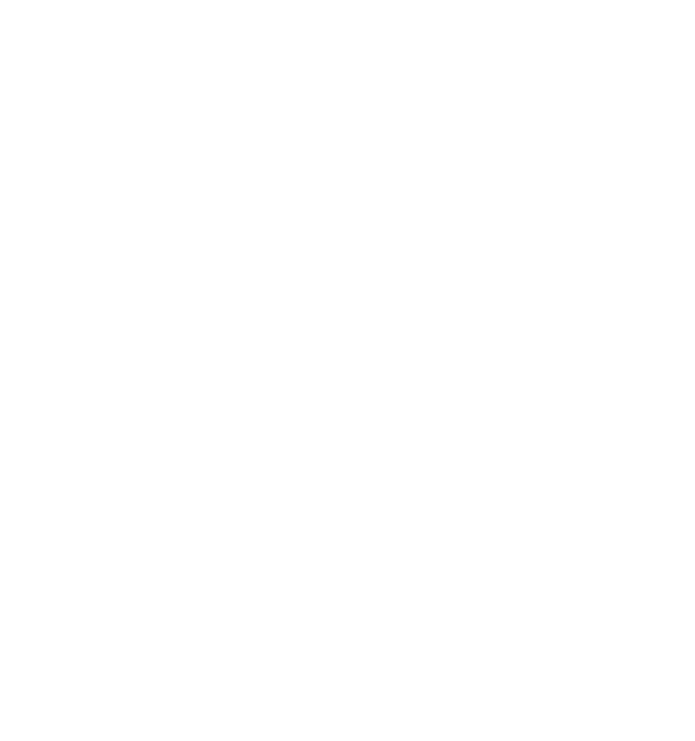 Dashing Hounds - Leslieville and The Beaches Dog Grooming