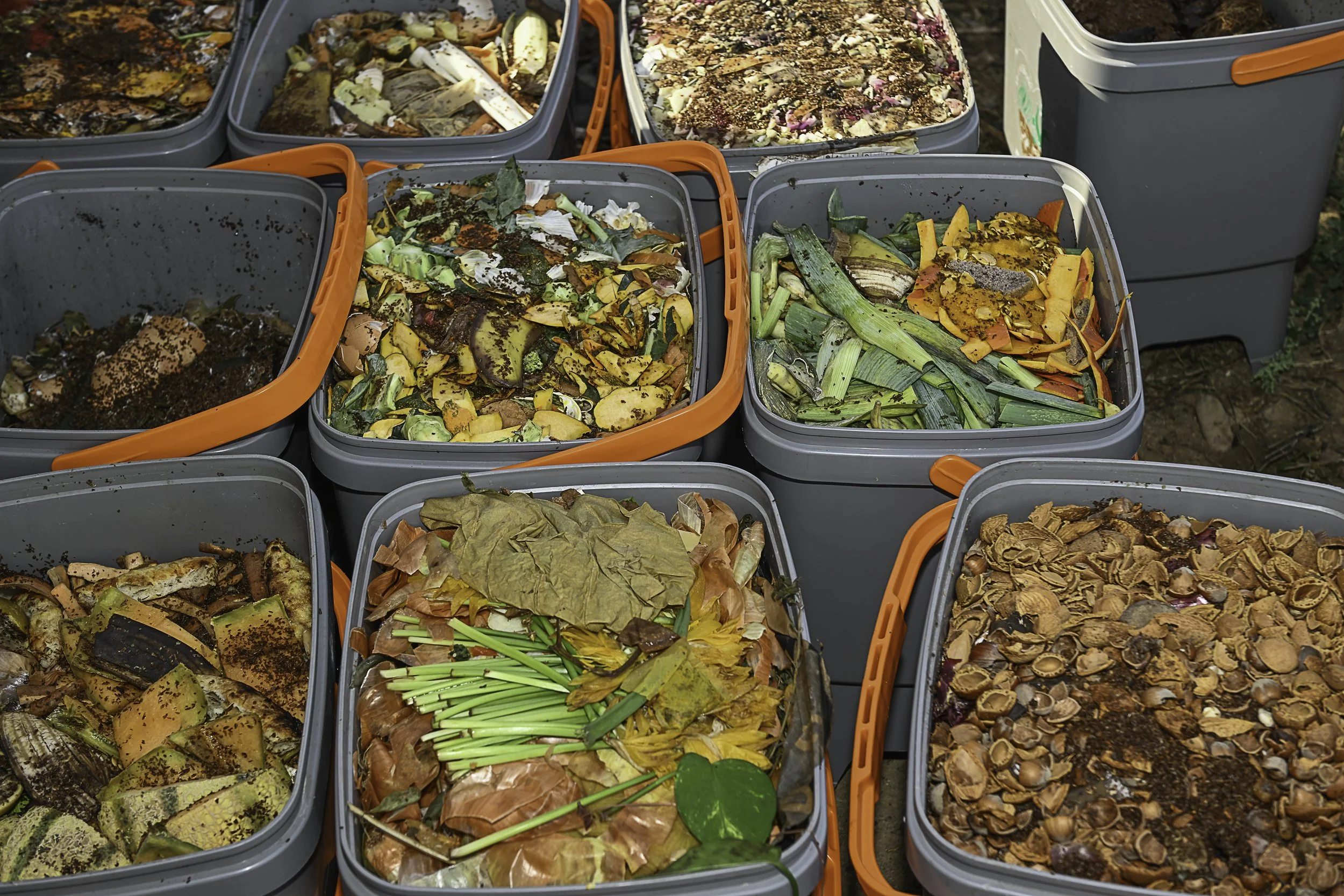 Nos activités — Edenn Toulouse