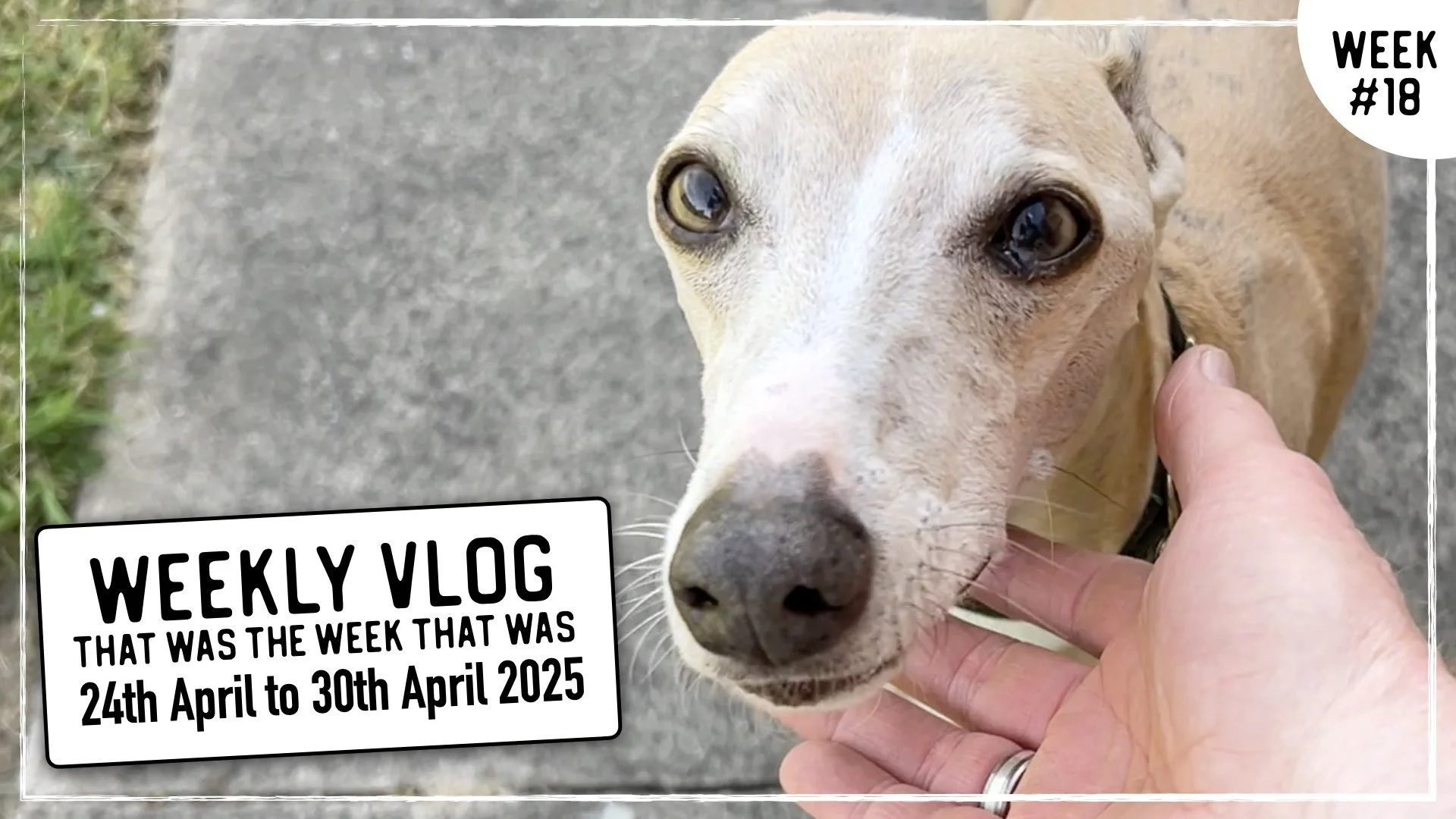 My Blog — Mike Deakin Art