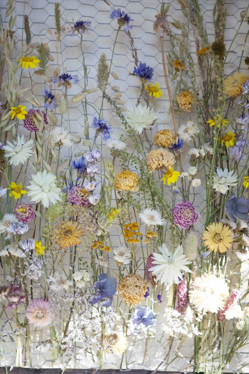 Sun & Flowers everlasting flower panel — Layla Robinson