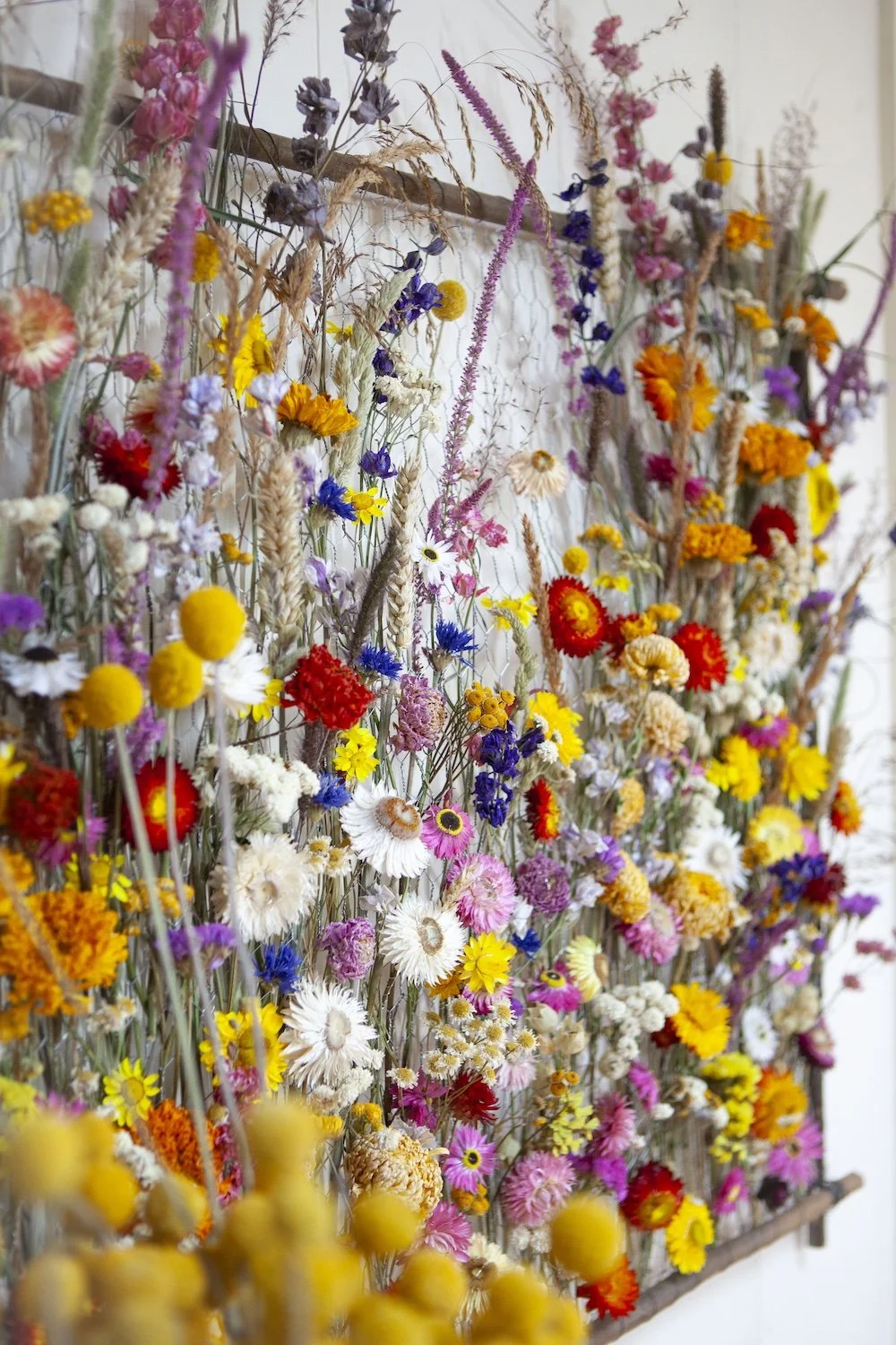 Sun & Flowers everlasting flower panel — Layla Robinson