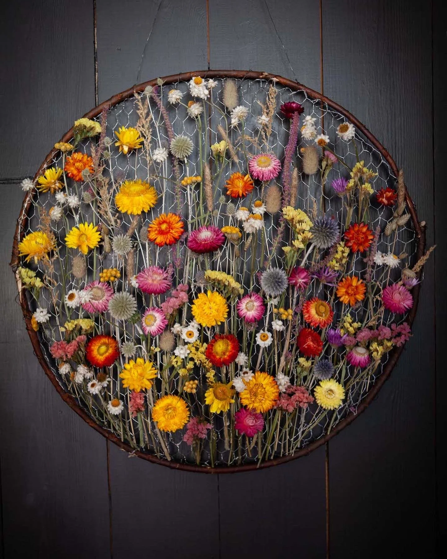 Shop — Layla Robinson