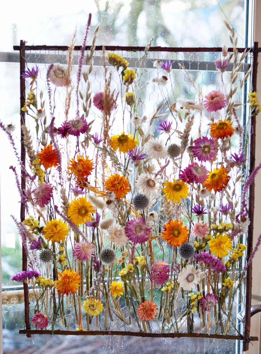 Shop — Layla Robinson