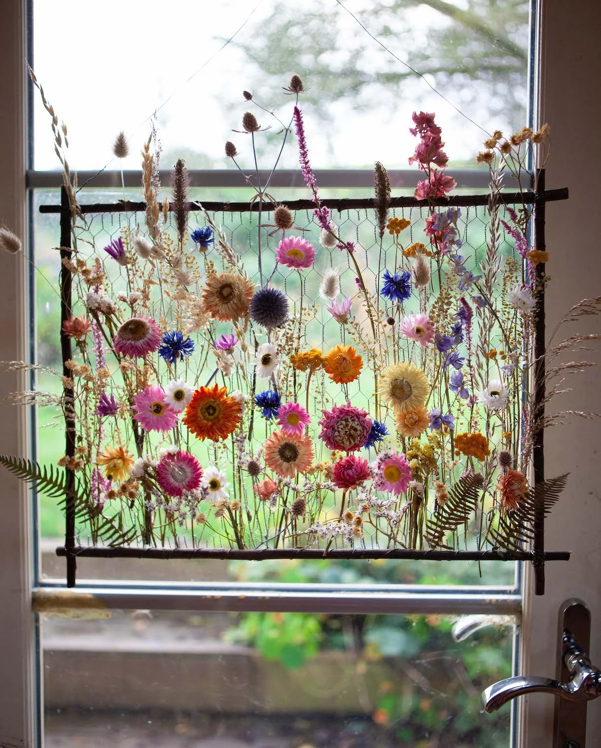 Shop — Layla Robinson