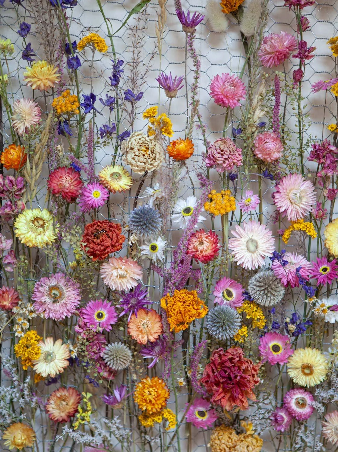 Shop — Layla Robinson