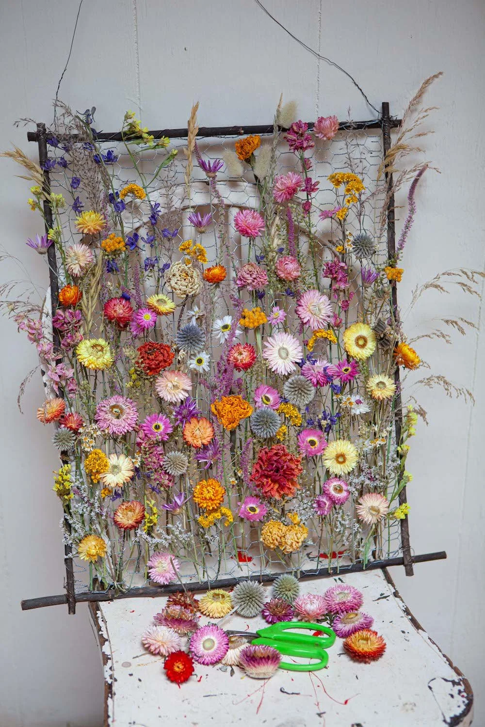 Shop — Layla Robinson