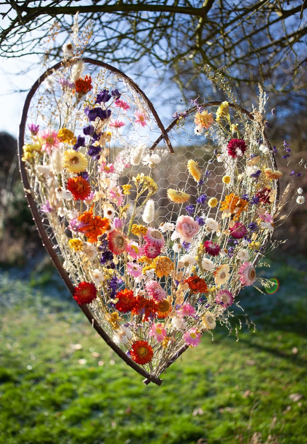 Shop — Layla Robinson