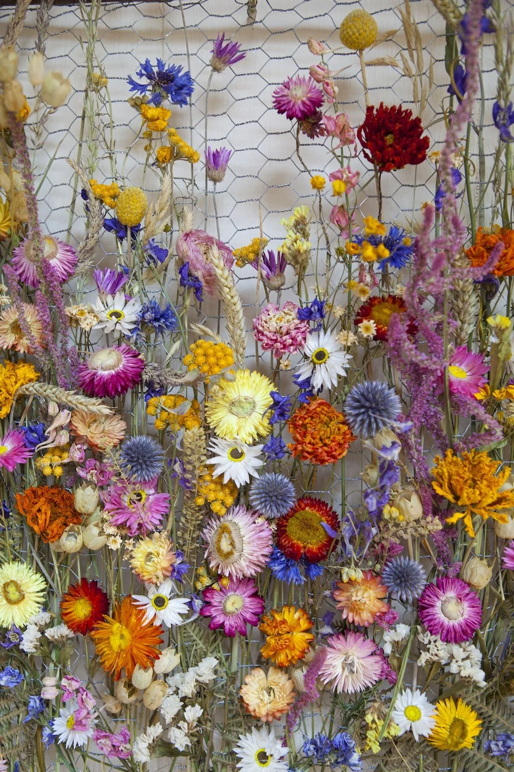 Sun & Flowers everlasting flower panel — Layla Robinson