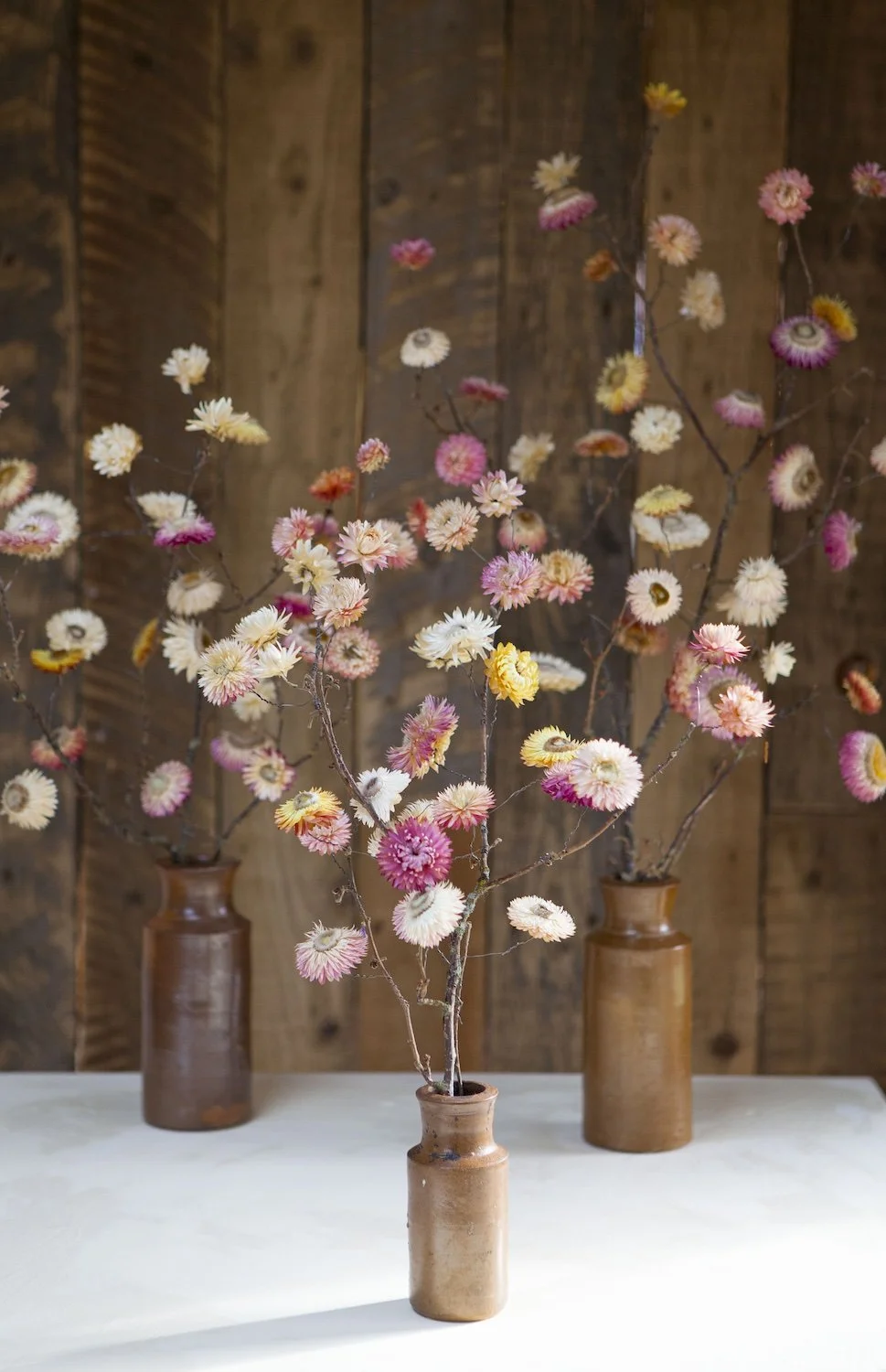 Shop — Layla Robinson