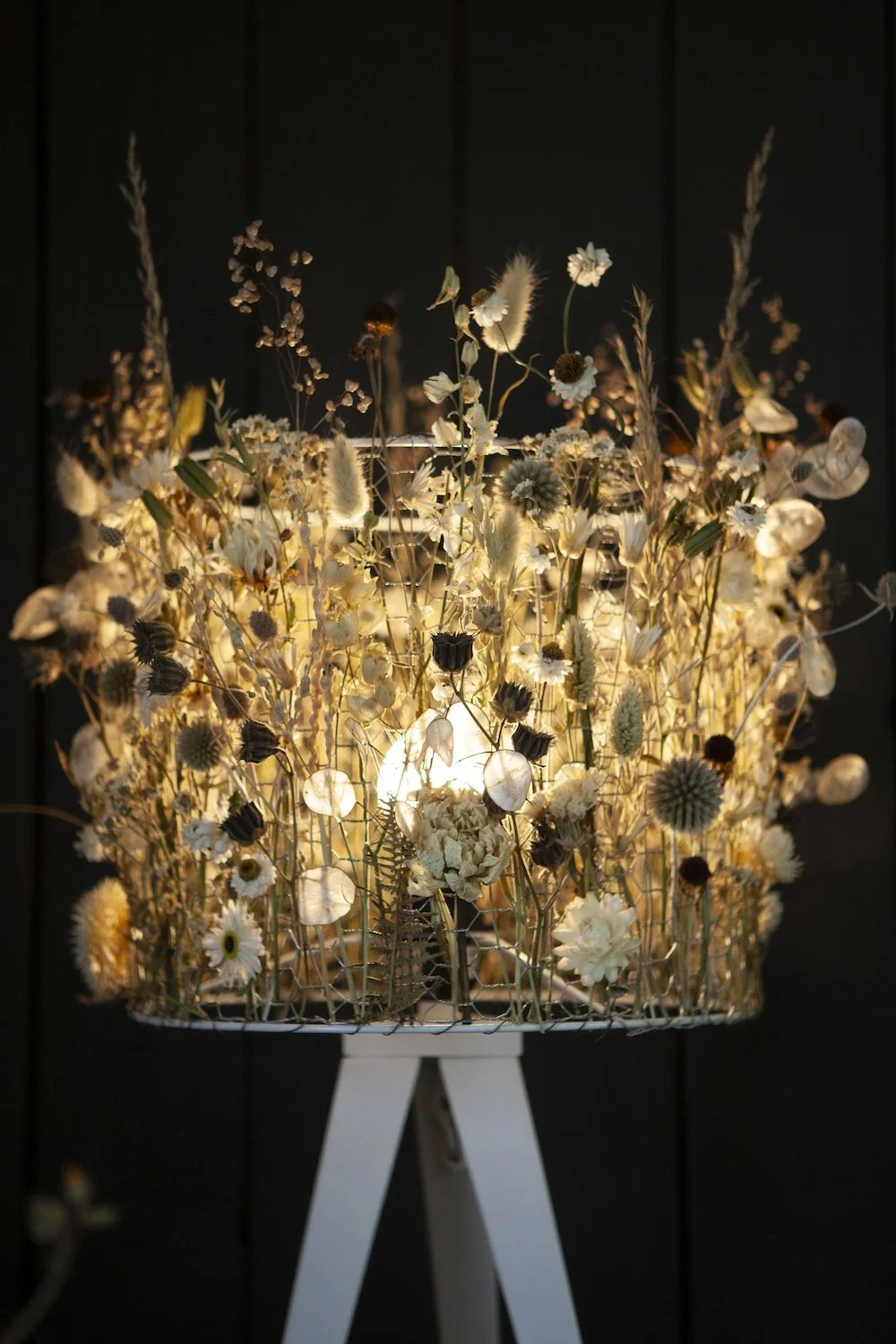 Shop — Layla Robinson