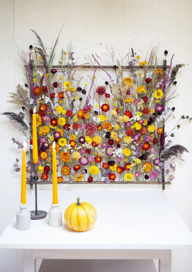 Shop — Layla Robinson