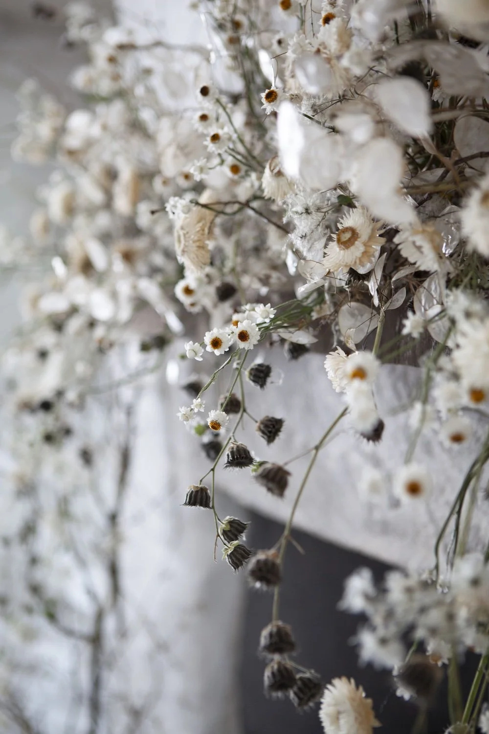 Shop — Layla Robinson