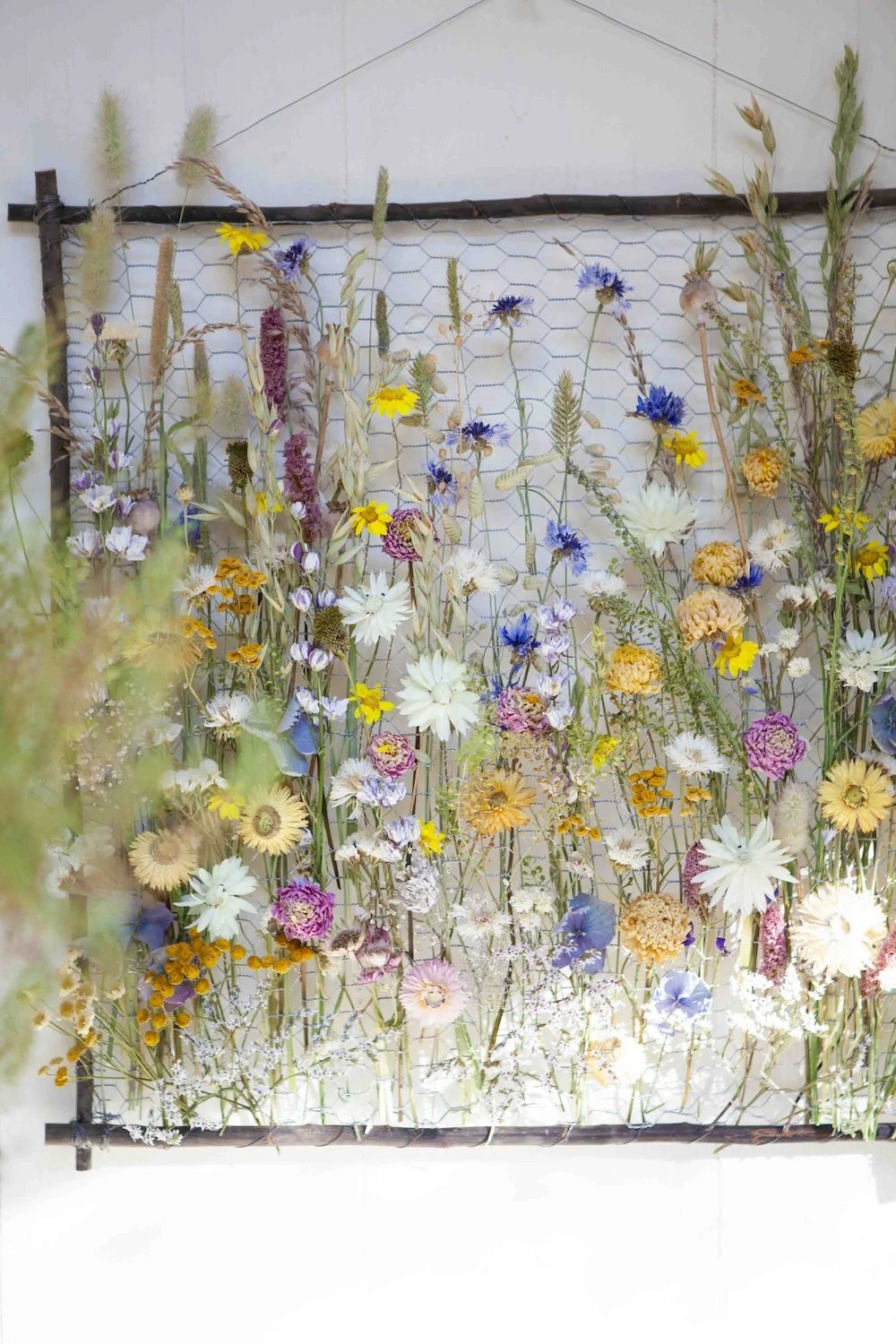 Sun & Flowers everlasting flower panel — Layla Robinson