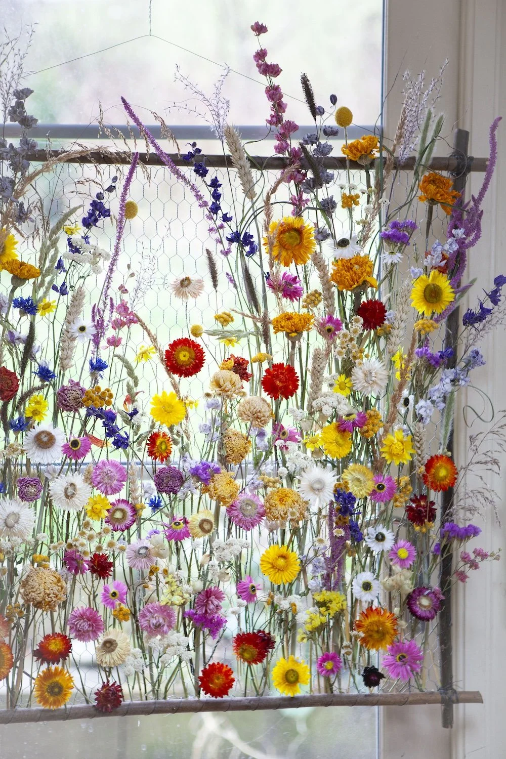 Sun & Flowers everlasting flower panel — Layla Robinson