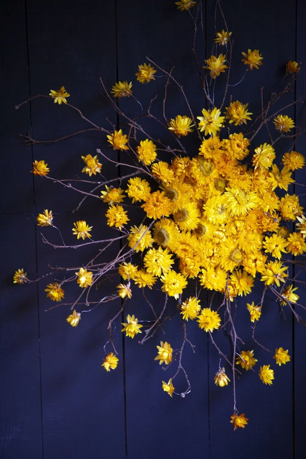 Shop — Layla Robinson