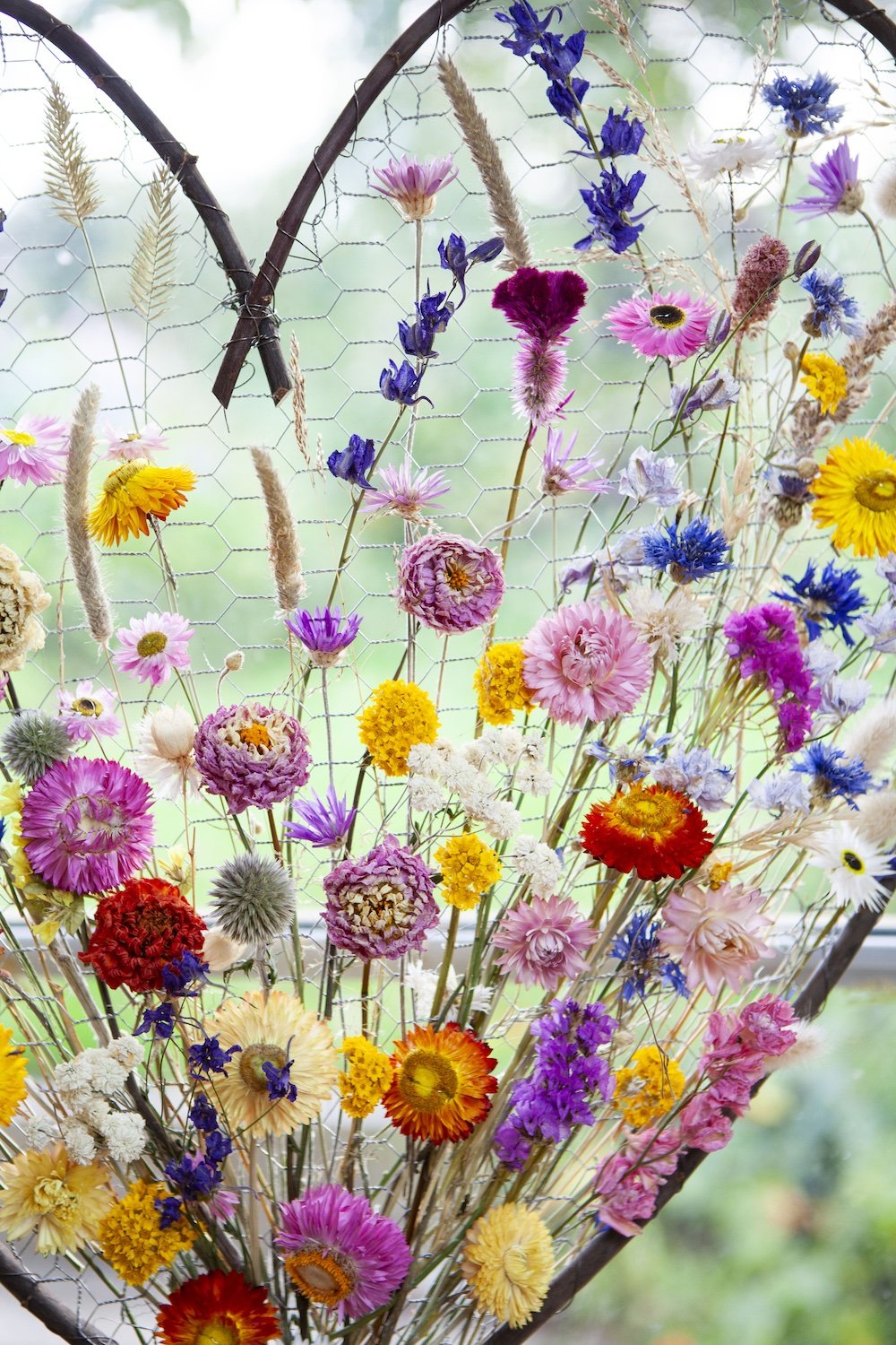 Sun & Flowers everlasting flower panel — Layla Robinson