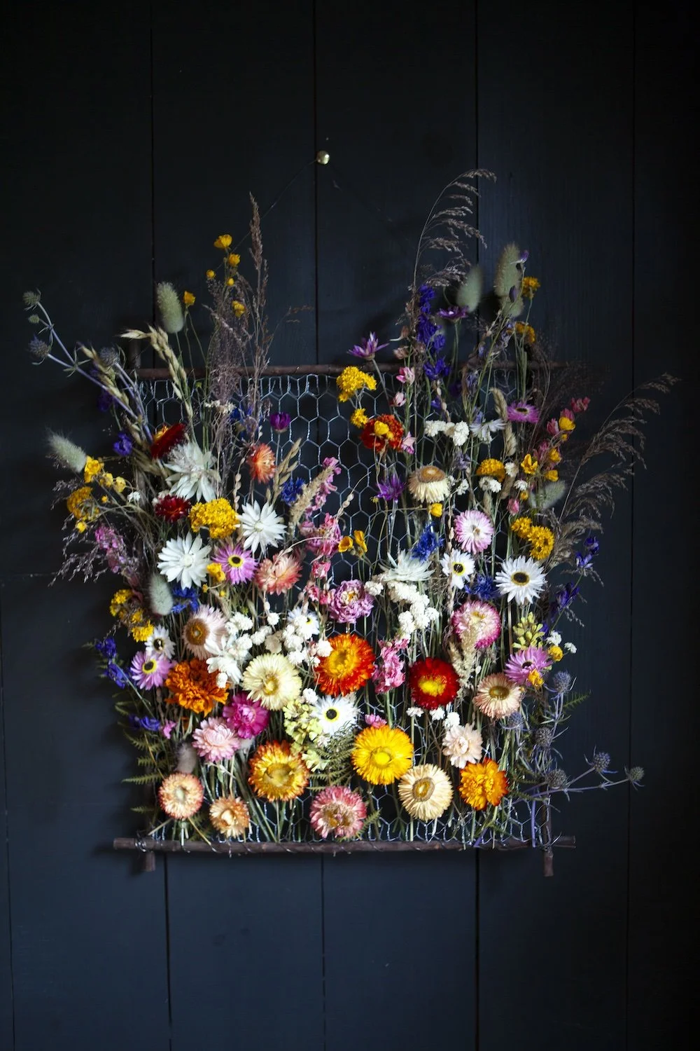 Sun & Flowers everlasting flower panel — Layla Robinson