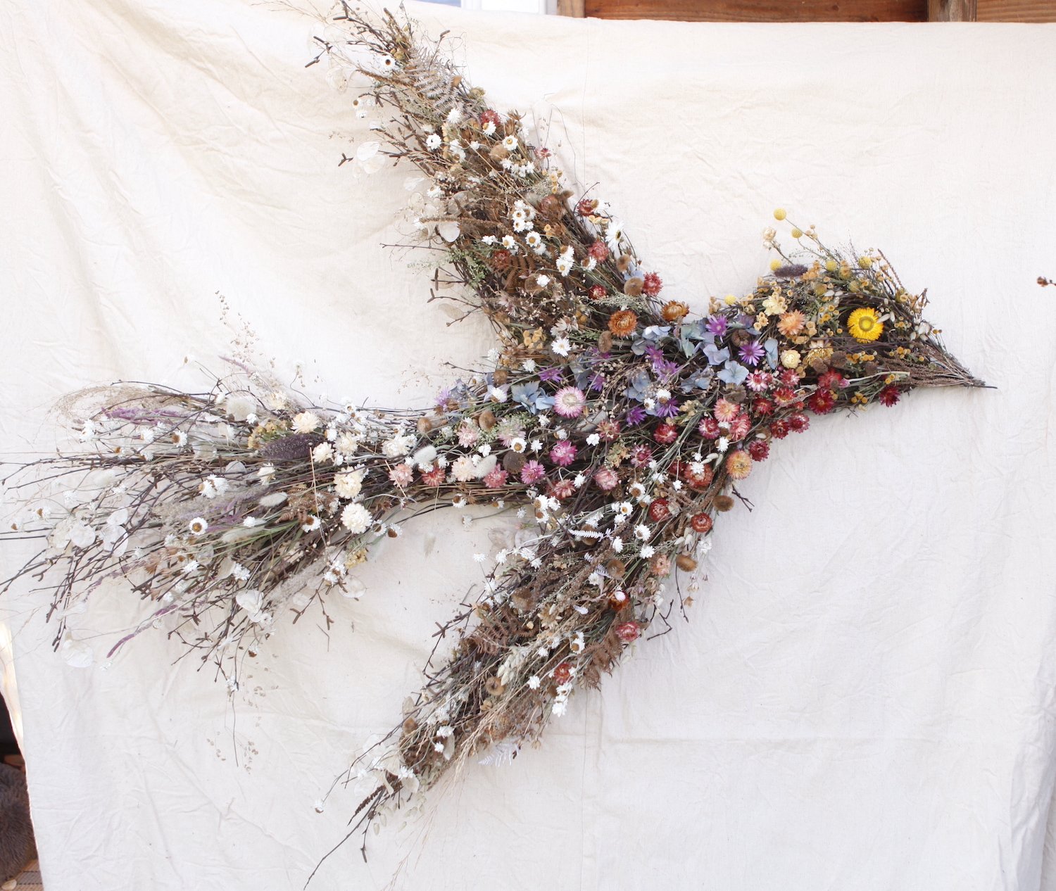 Photos — Layla Robinson