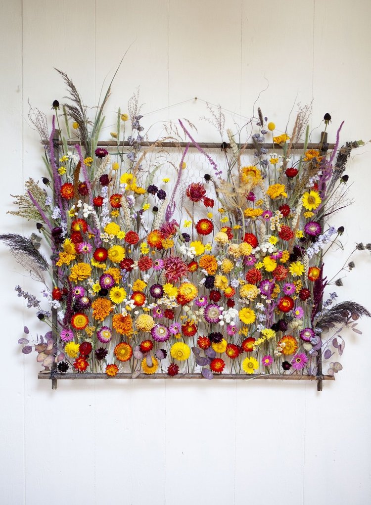 Shop — Layla Robinson