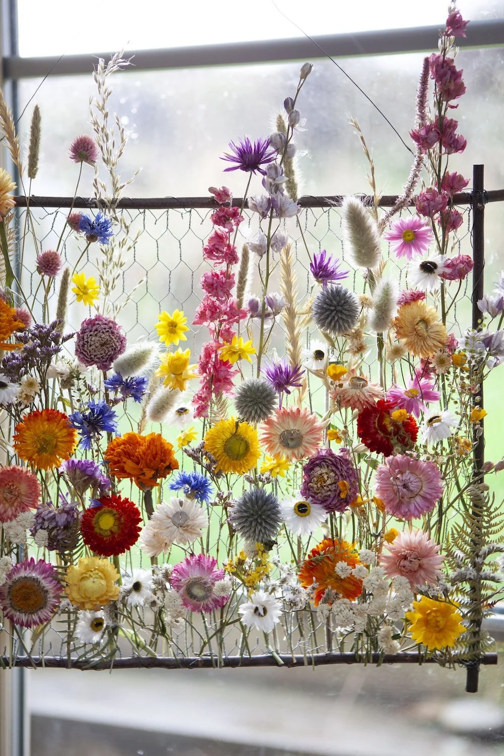 Sun & Flowers everlasting flower panel — Layla Robinson