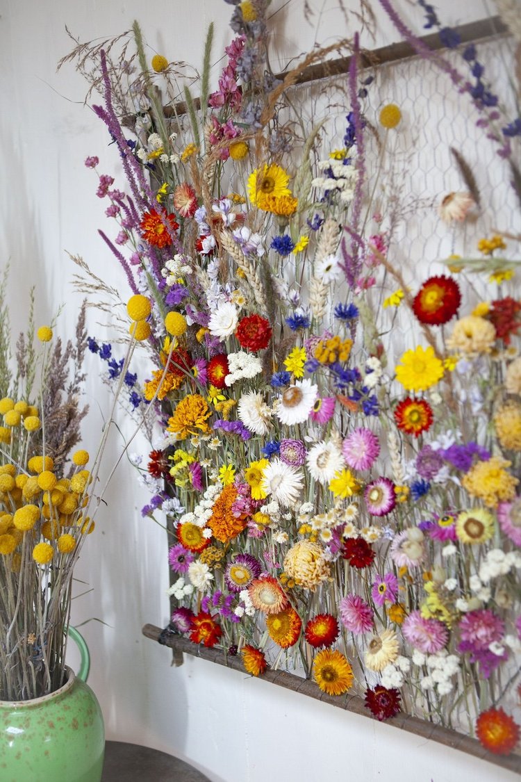 Sun & Flowers everlasting flower panel — Layla Robinson