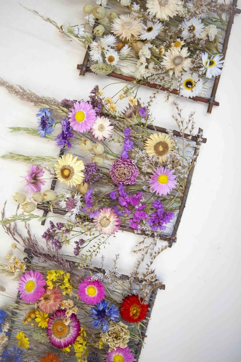 Shop — Layla Robinson