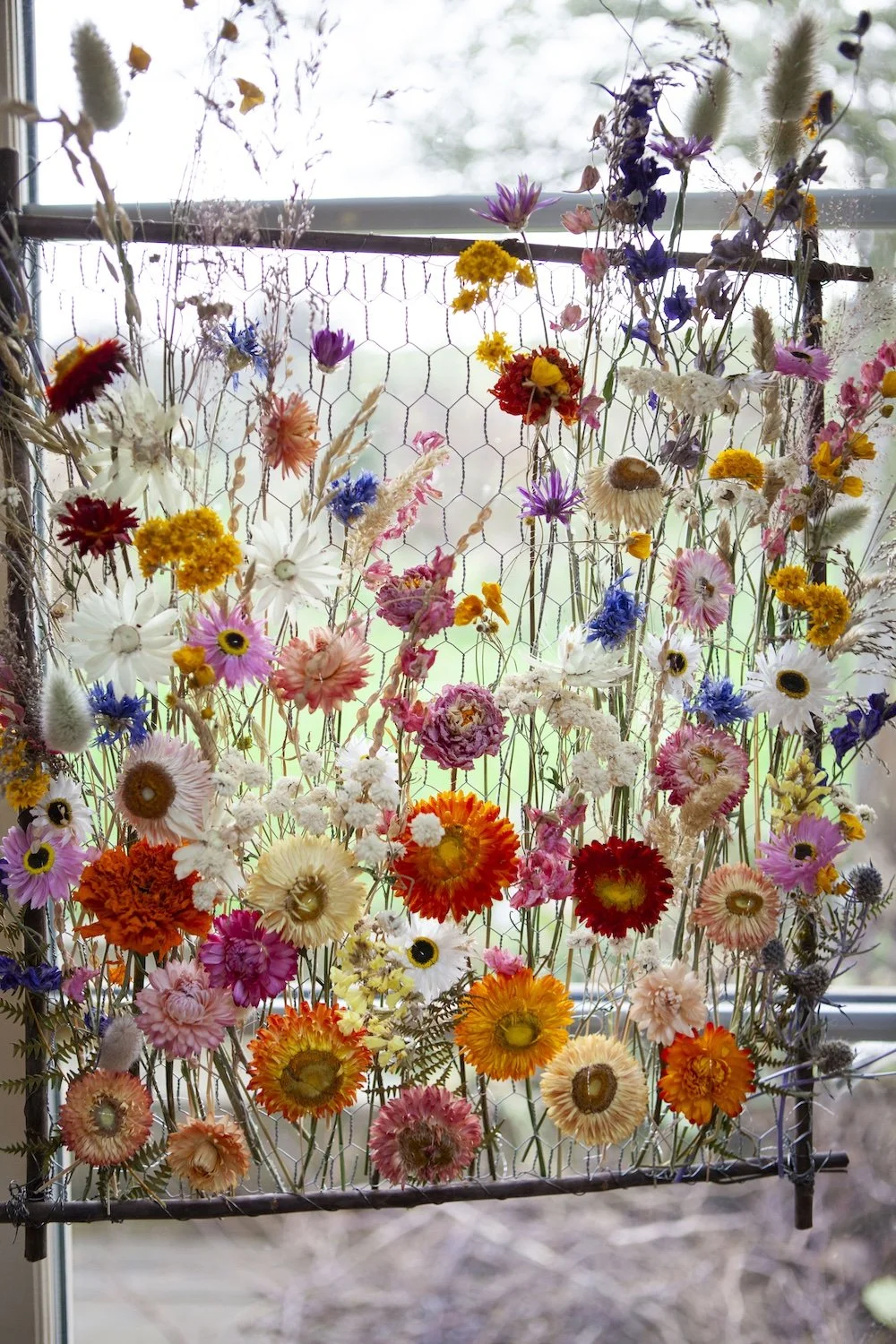 Shop — Layla Robinson