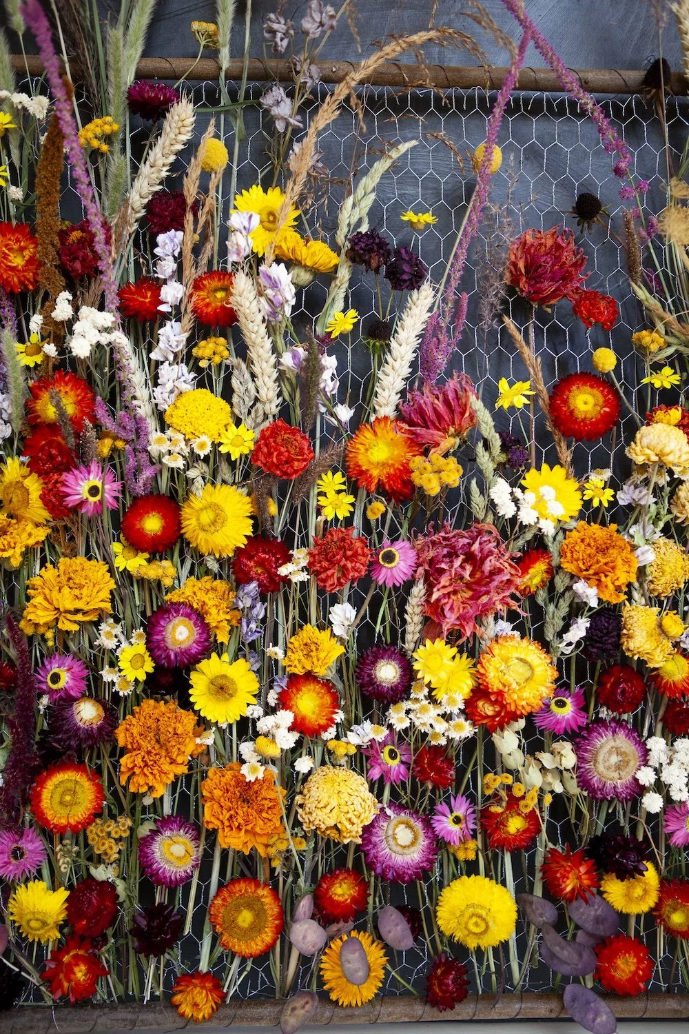 Shop — Layla Robinson