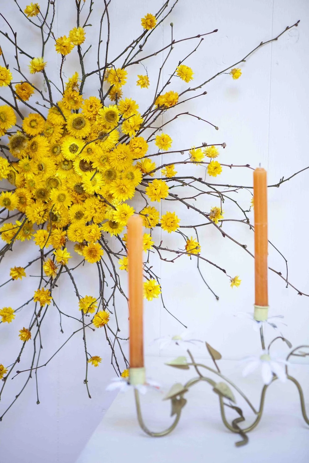 Shop — Layla Robinson