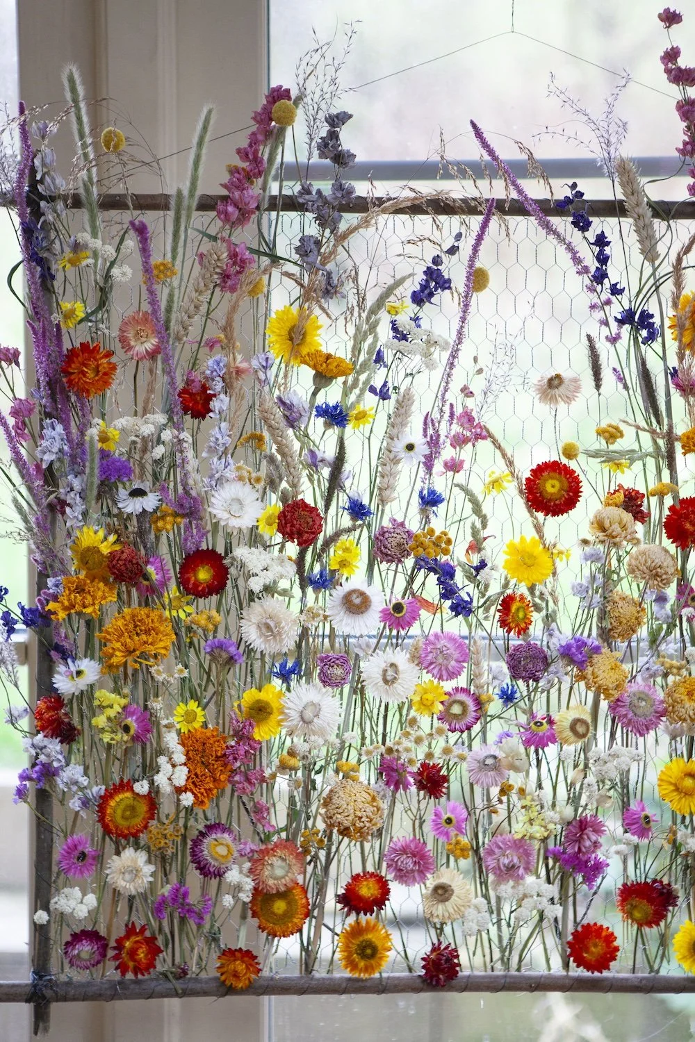 Sun & Flowers everlasting flower panel — Layla Robinson