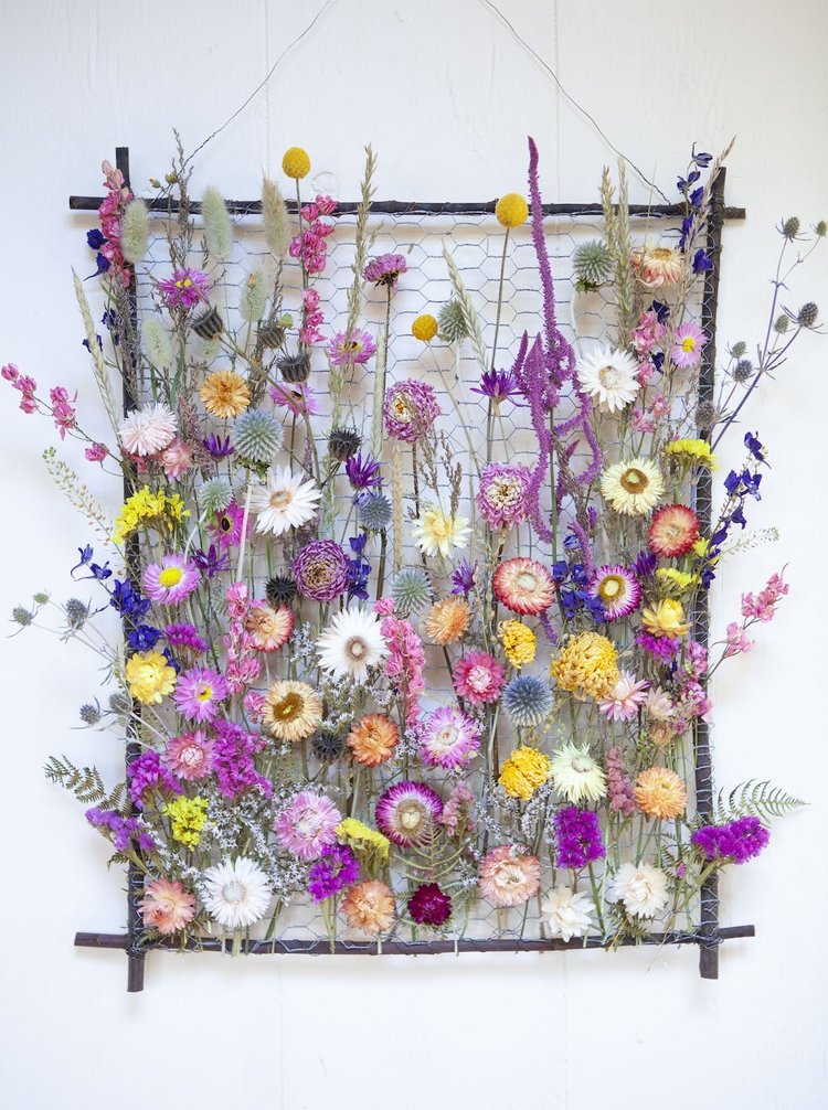 Sun & Flowers everlasting flower panel — Layla Robinson