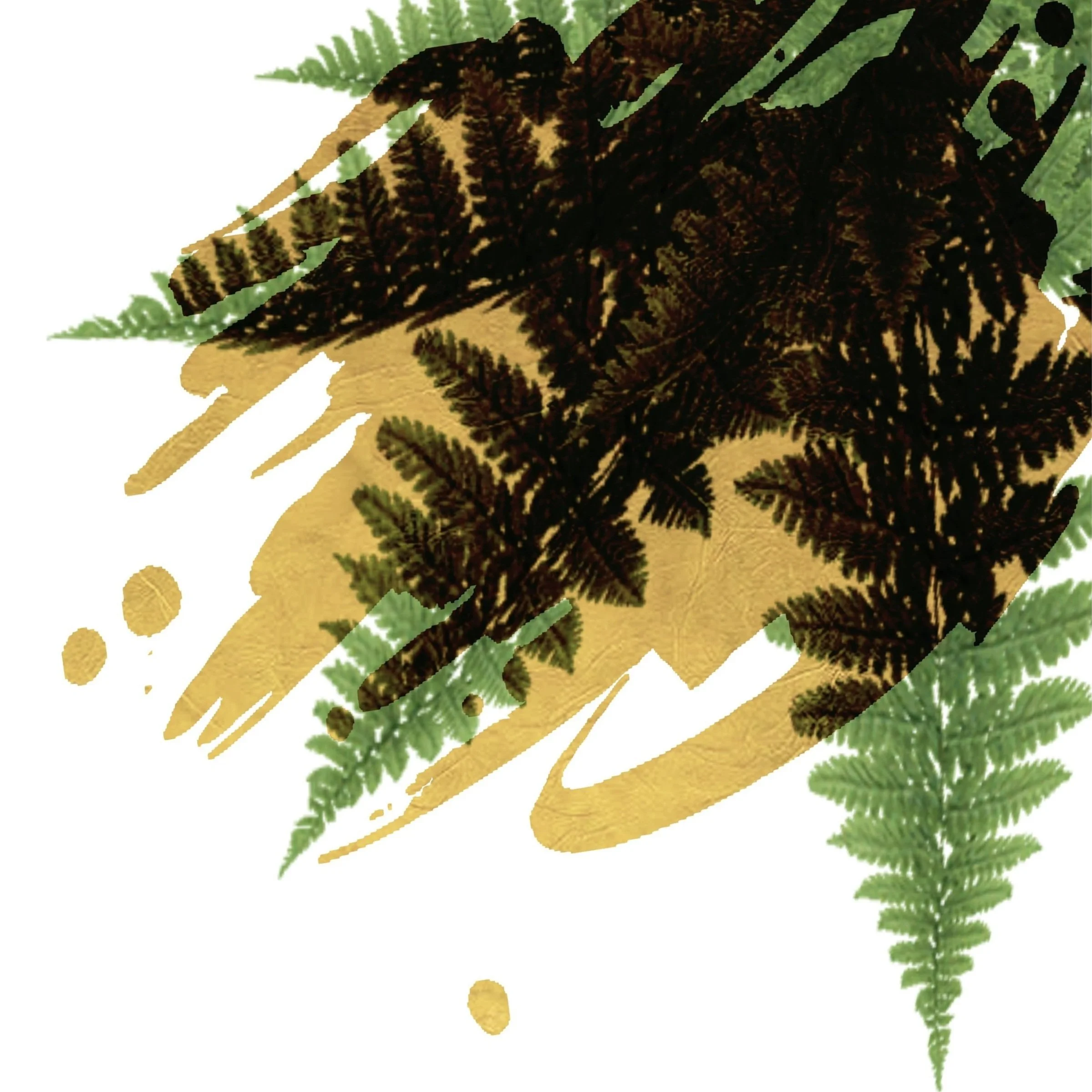 The Bracken Hide Hotel | Unique 4 Star Hotel, Isle of Skye