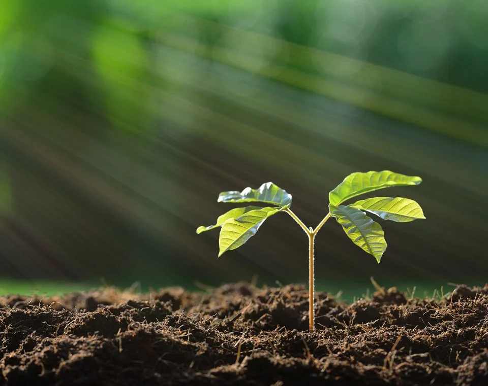 What to Expect in Sex Therapy — Jordan Rullo, LLC