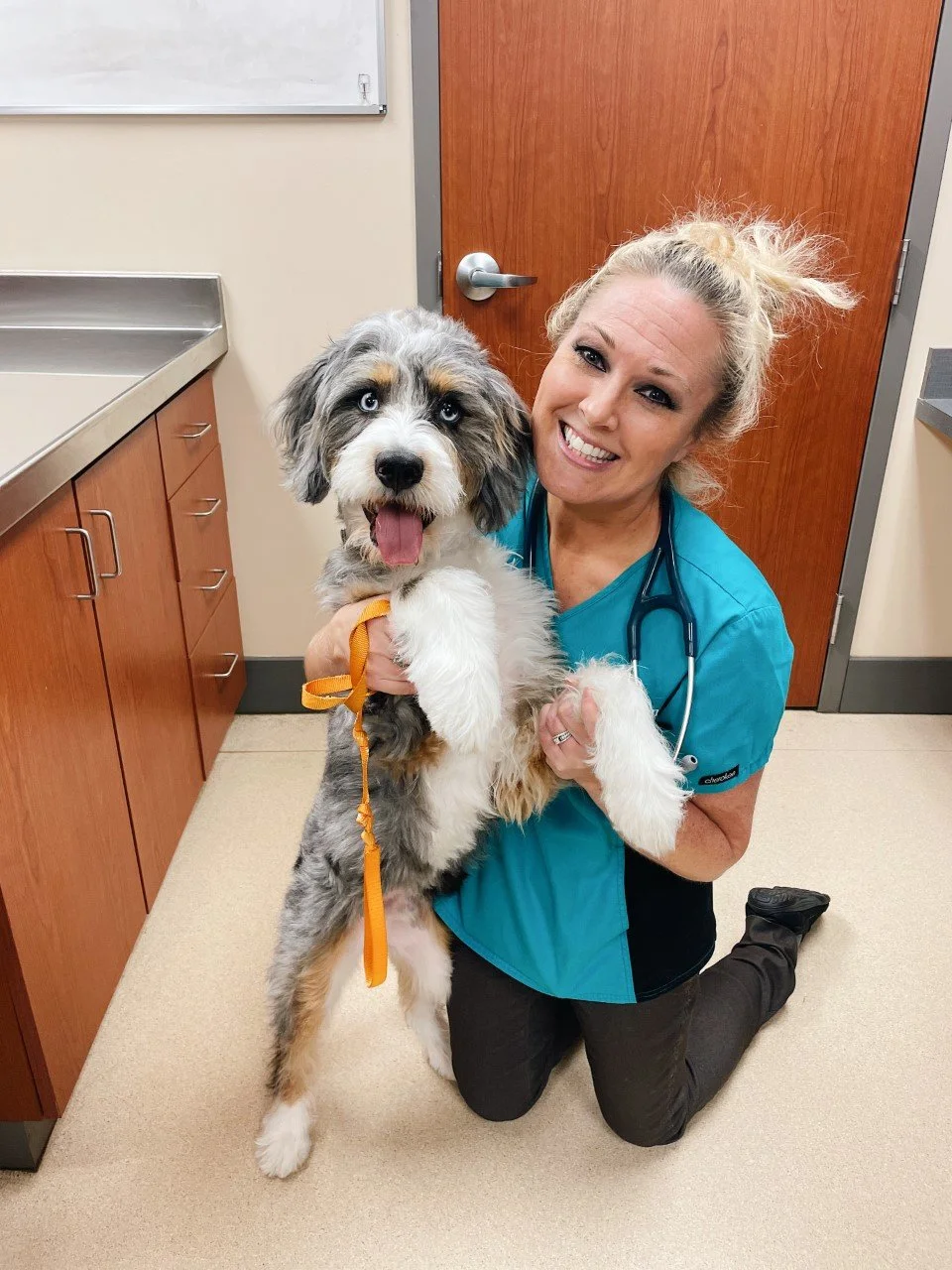 Dr. Elisabeth Pearman — Williamson County Animal Hospital