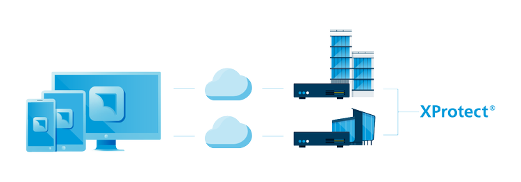 Milestone - Enterprise Security