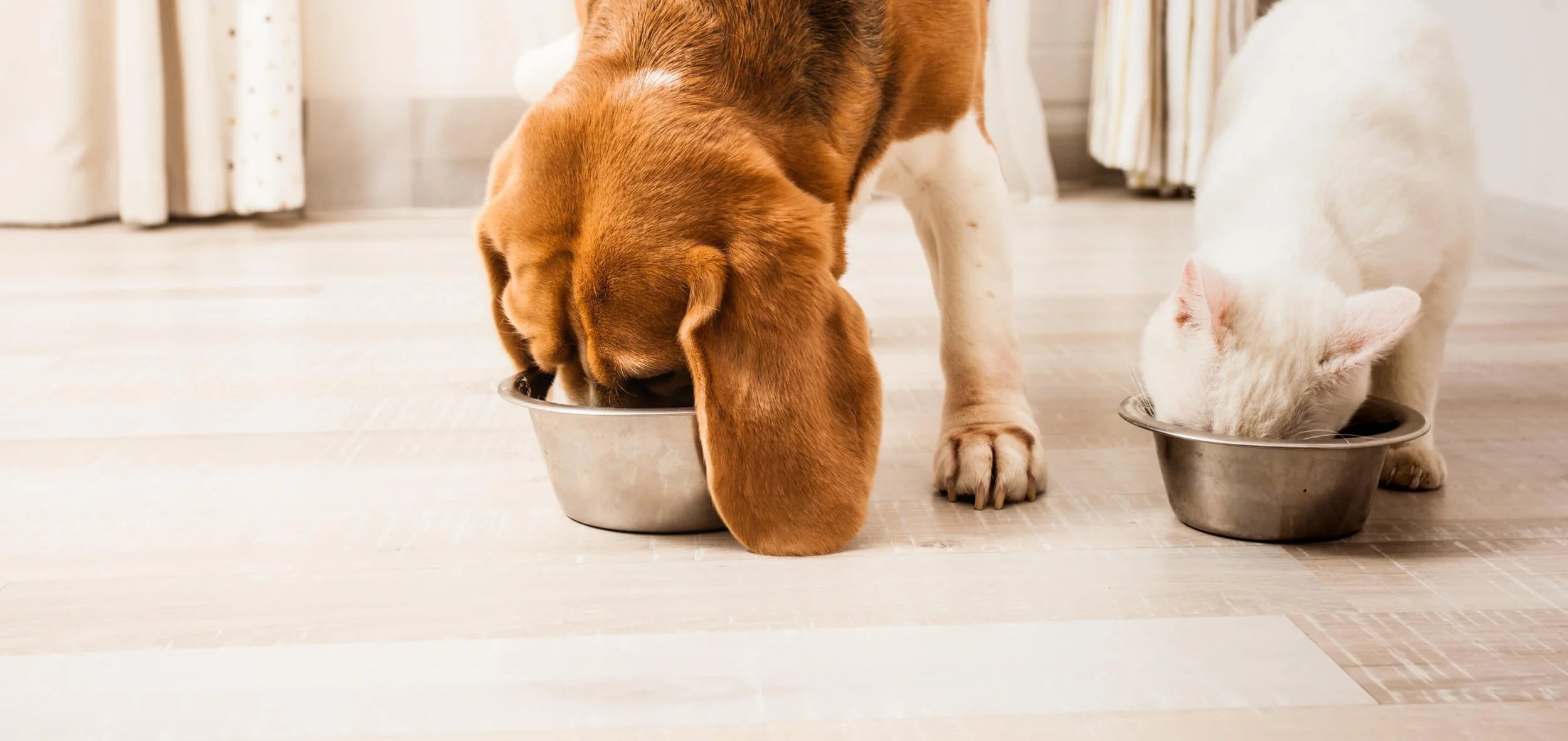 Golden Pet Manufacturing