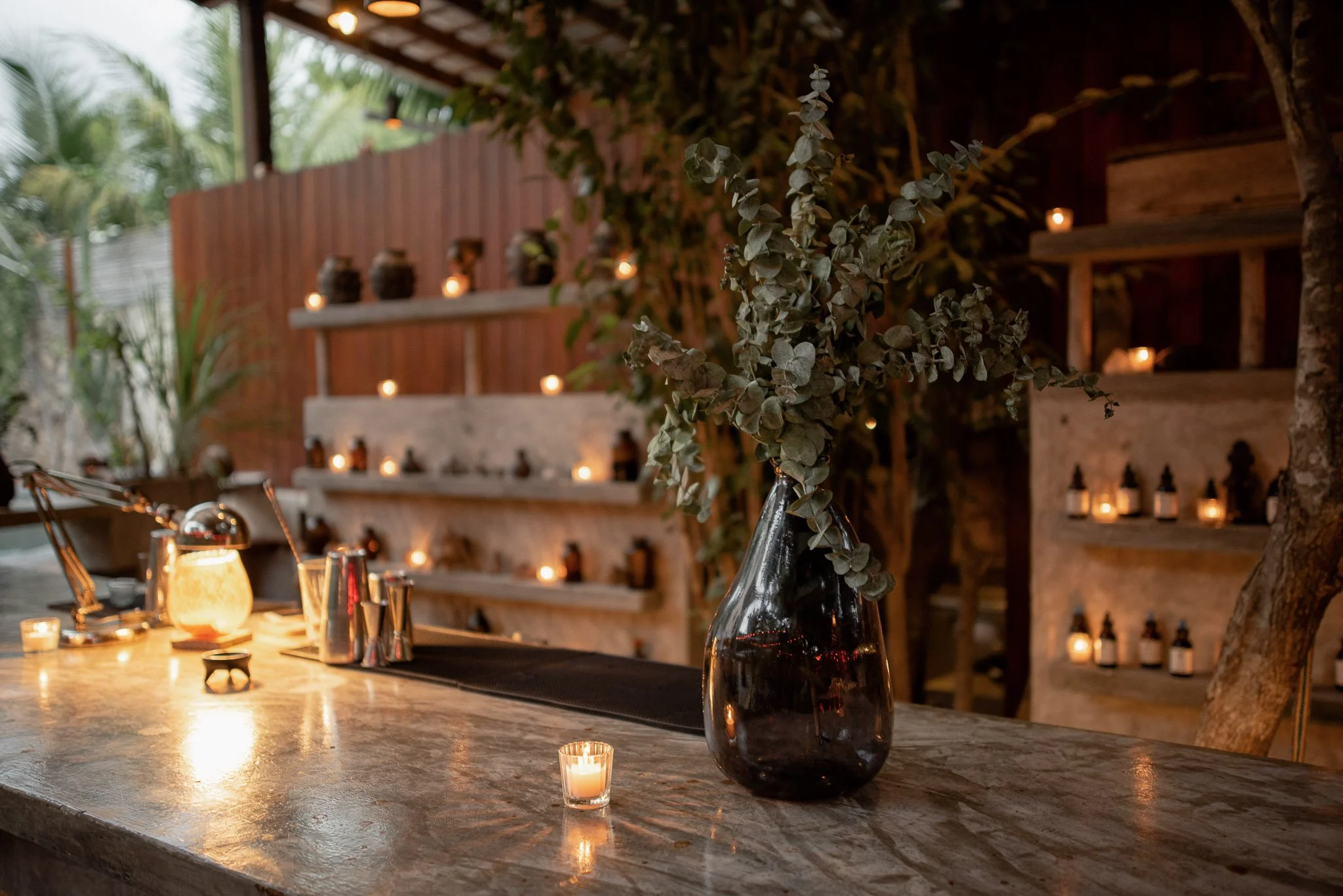 B o t å n i c a T u l u m