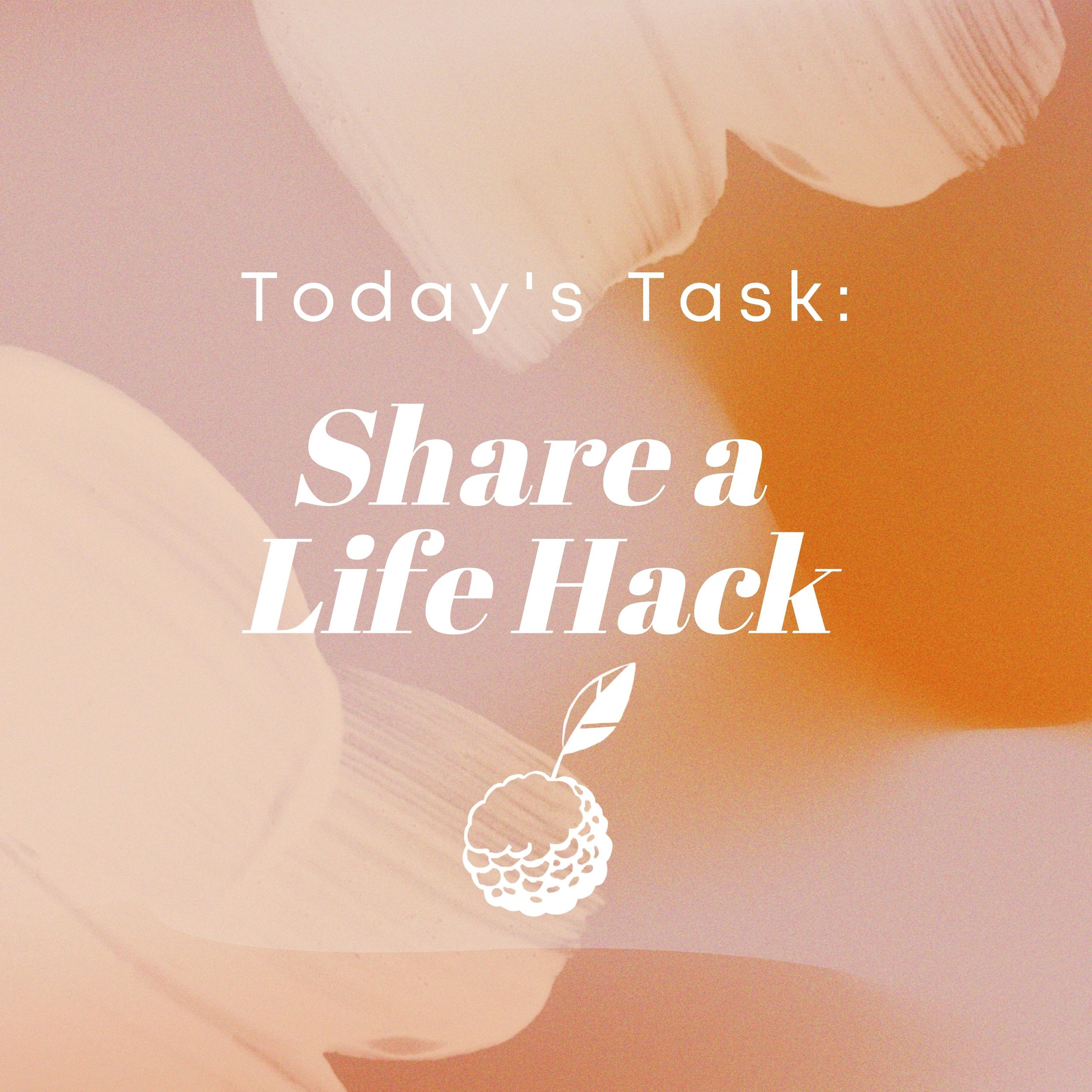 Getting Started: Day 2 — PomPortal