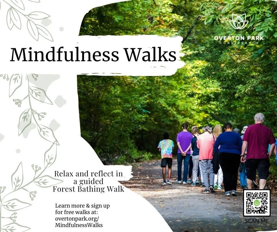 MCML Website Redesign (Copy)